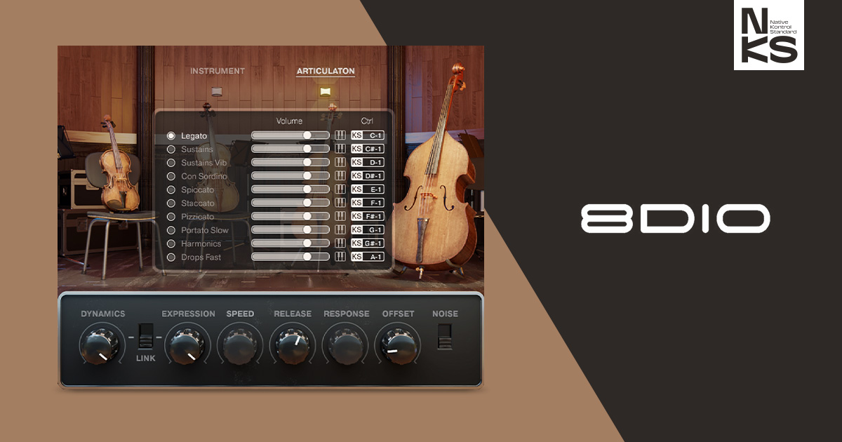 Intimate Studio Strings | Customizable string ensemble