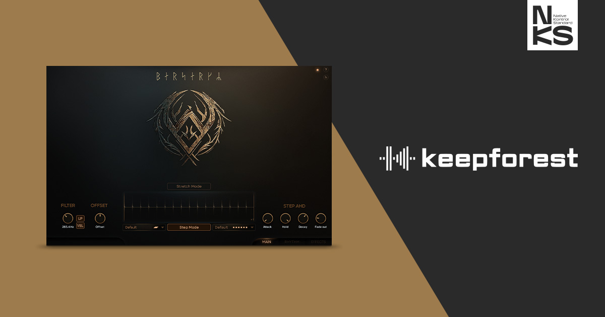 Berserkr | Tribal Punk Folk Drums