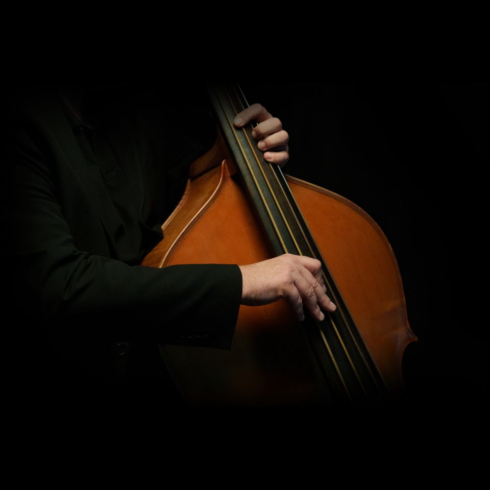 Upright Bass MPC Upright Bass