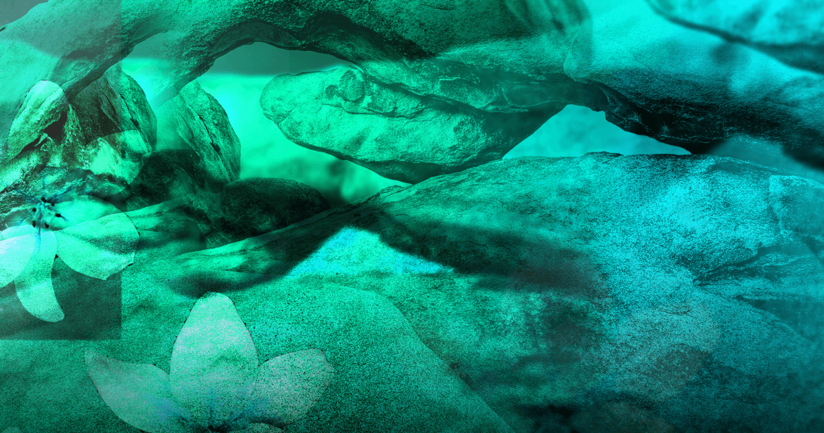 Komplete : Expansions : Sierra Grove | Products