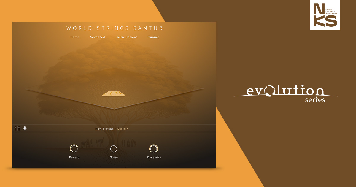 World Strings – Santur | Persian dulcimer library