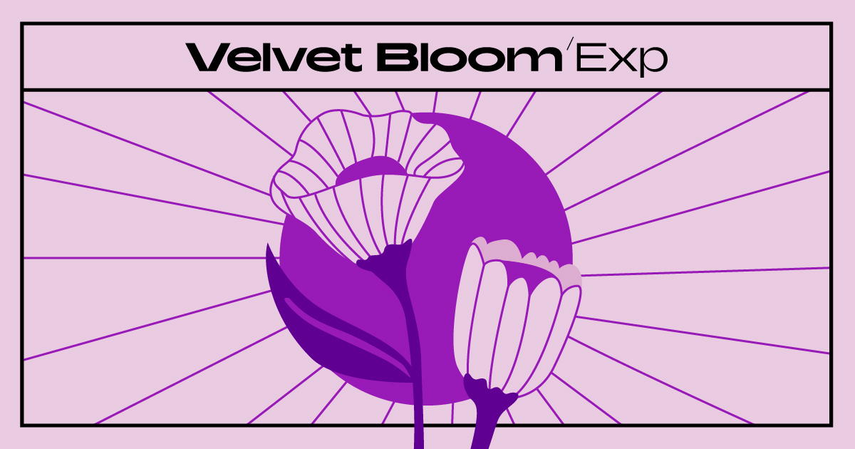Velvet Bloom – essential soulful R&B sounds